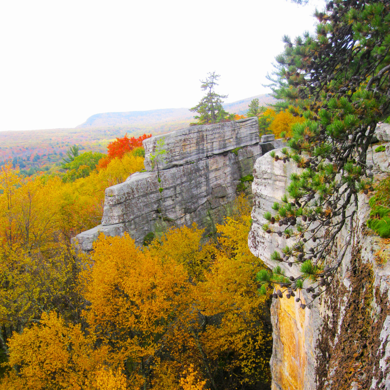 Land Protection - Mohonk Preserve