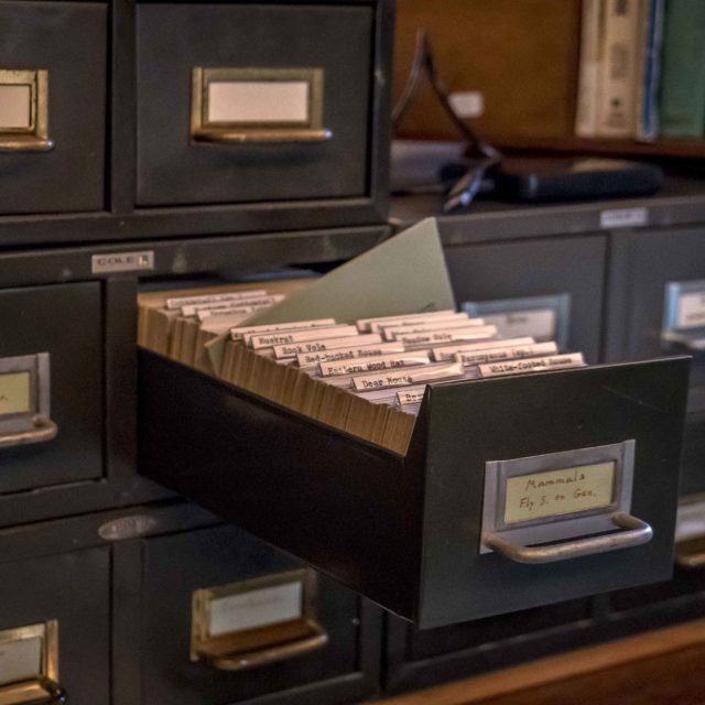 Community Science Program - Mohonk Preserve