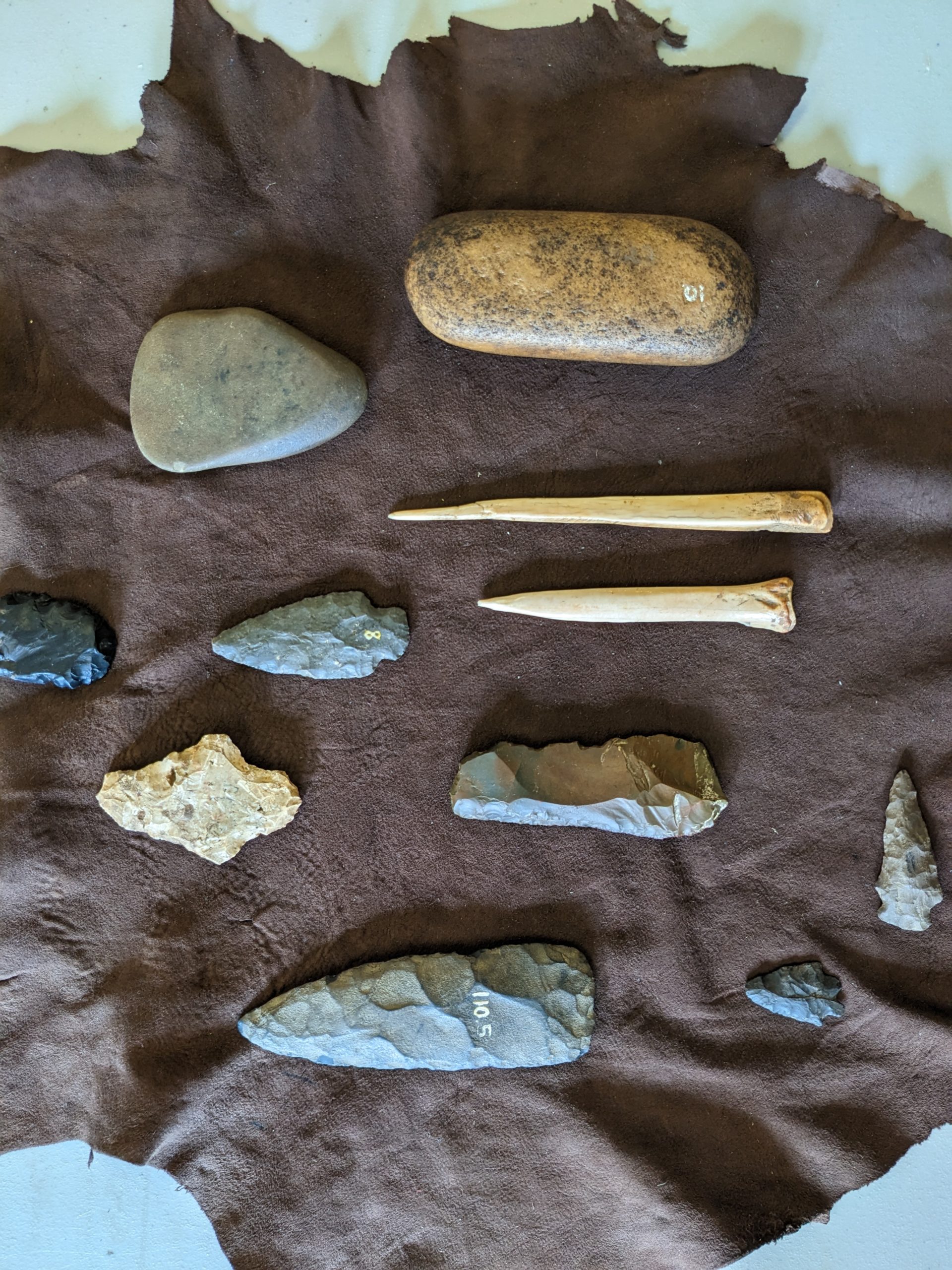 Outreach Programs - Mohonk Preserve