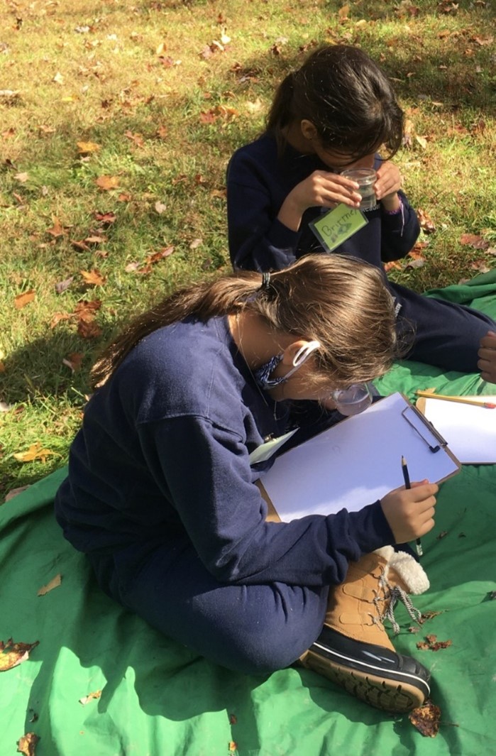 School Field Studies - Mohonk Preserve